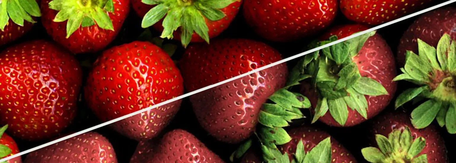 High Color Rendering Index